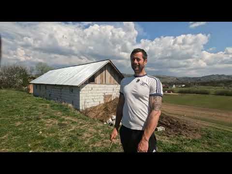 10 Cai Frumoși -Pasiunea Pentru Cai A DL Ioan Ilies din Ieud.Maramures 
