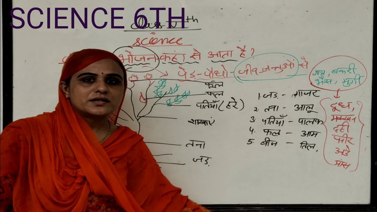 Science 6th- Chapter-1st Food - YouTube