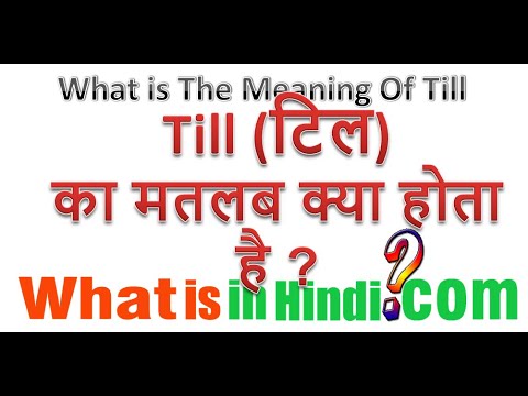 What is the meaning of Till in Hindi | Till का मतलब क्या होता है - YouTube