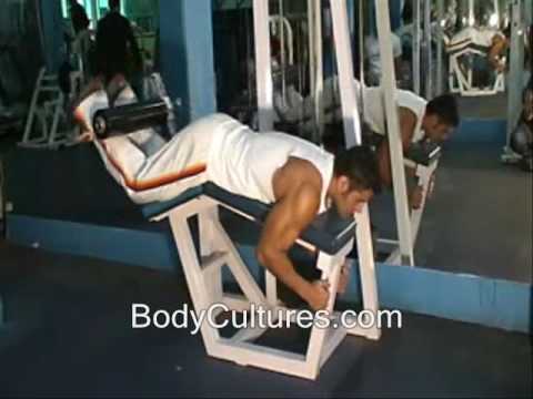 Bodycultures - Ejercicio Femorales Piernas - Curl de Piernas Acostado ...