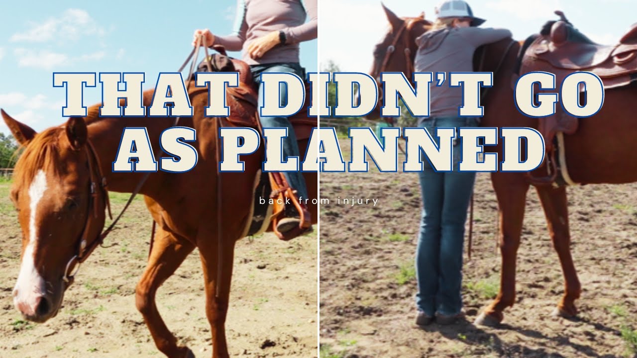 First Ride on my Horse After Injury - YouTube