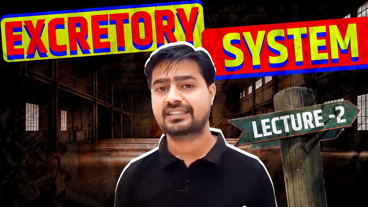 #2-EXCRETORY SYSTEM | AMMONOTELISM | UREOTELISM| URICOTELISM ...