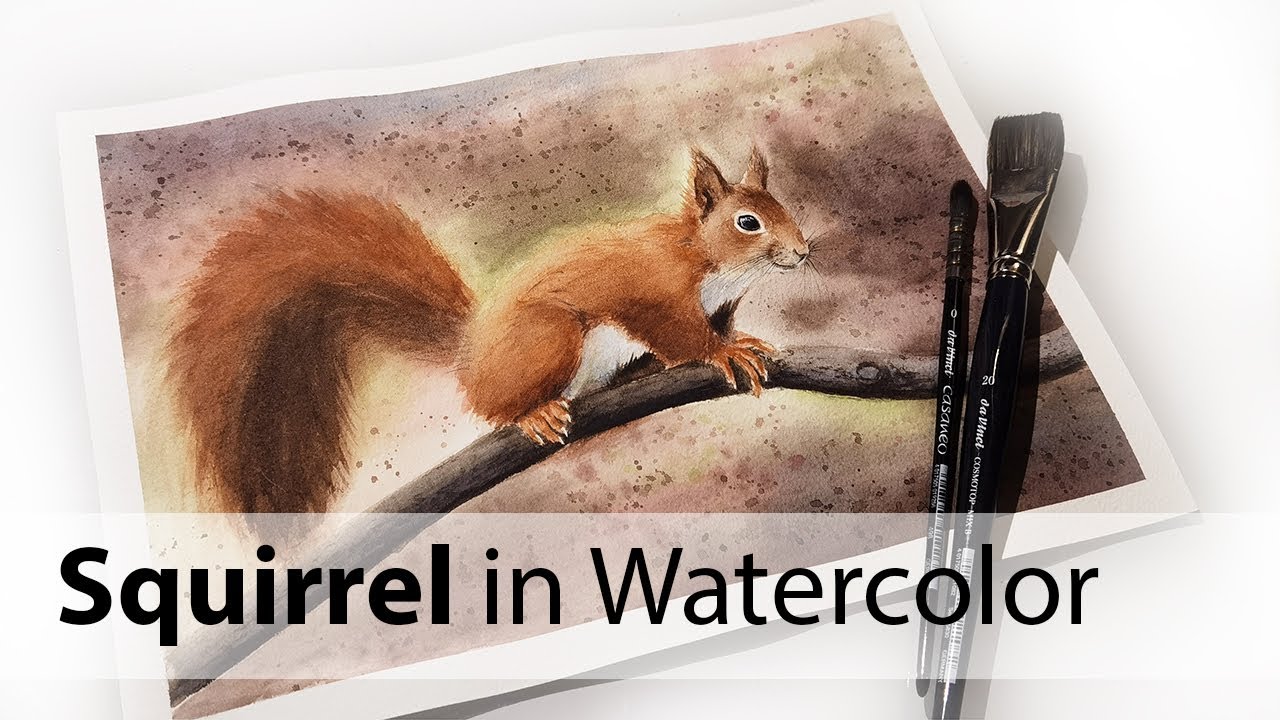 Squirrel in Watercolor. How to draw fur in watercolor - YouTube