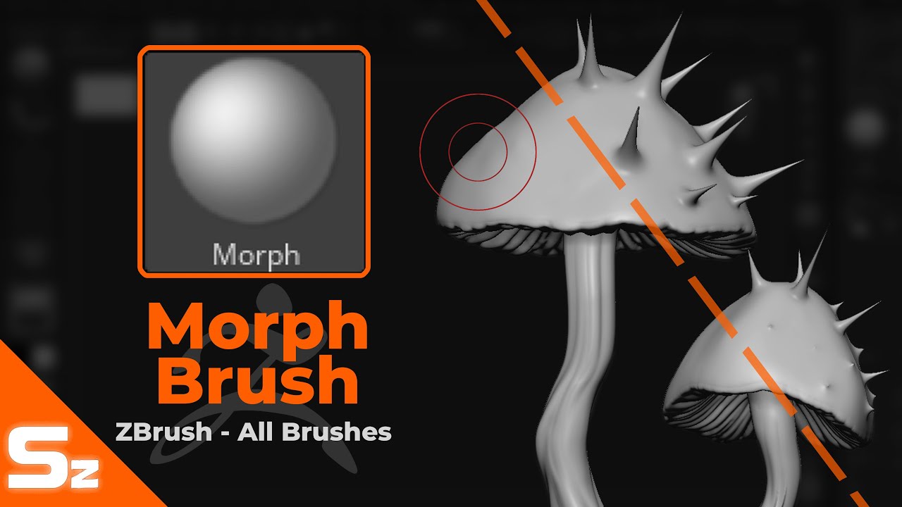 Morph Brush: ZBrush All Brushes - YouTube