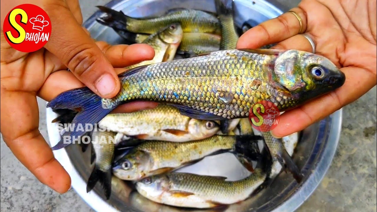 chote bhakur machli ko katne ka tarika!!भकुरी मछली के बच्चे को कैसे साफ ...