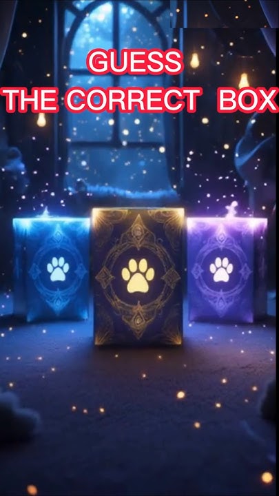 Magic Box Challenge: Find the Hidden Kitten! 🎁 #wi wi wi cat - YouTube