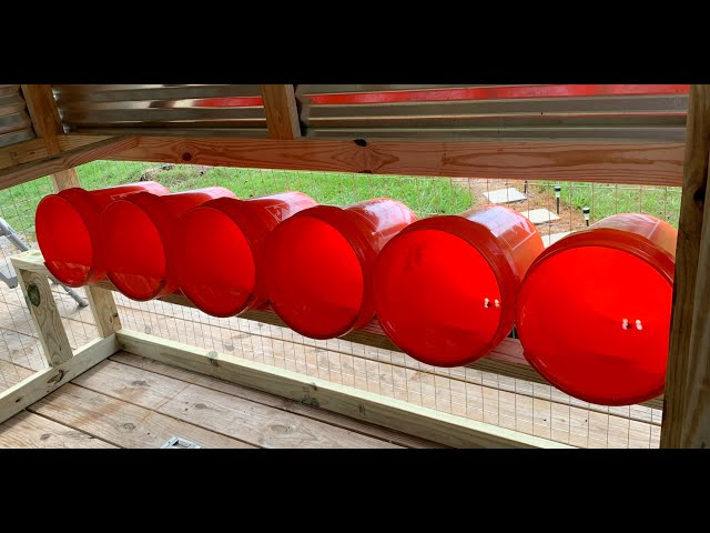 Diy Chicken Nesting Boxes Buckets Cat Litter Bucket Nesting Boxes