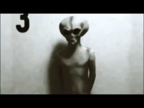 Alien Interview Grey Alien Filmed At Area 51 - YouTube