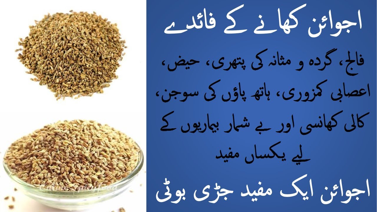 Ajwain Ke Fayde I Carom Seeds Benefits In Urdu YouTube ajwain-ke-fayde-i-carom-seeds-benefits-in-urdu-youtube