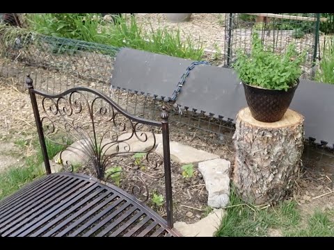 Reusing Logs in the Garden / From Fallen Tree to Garden Treasure! - YouTube