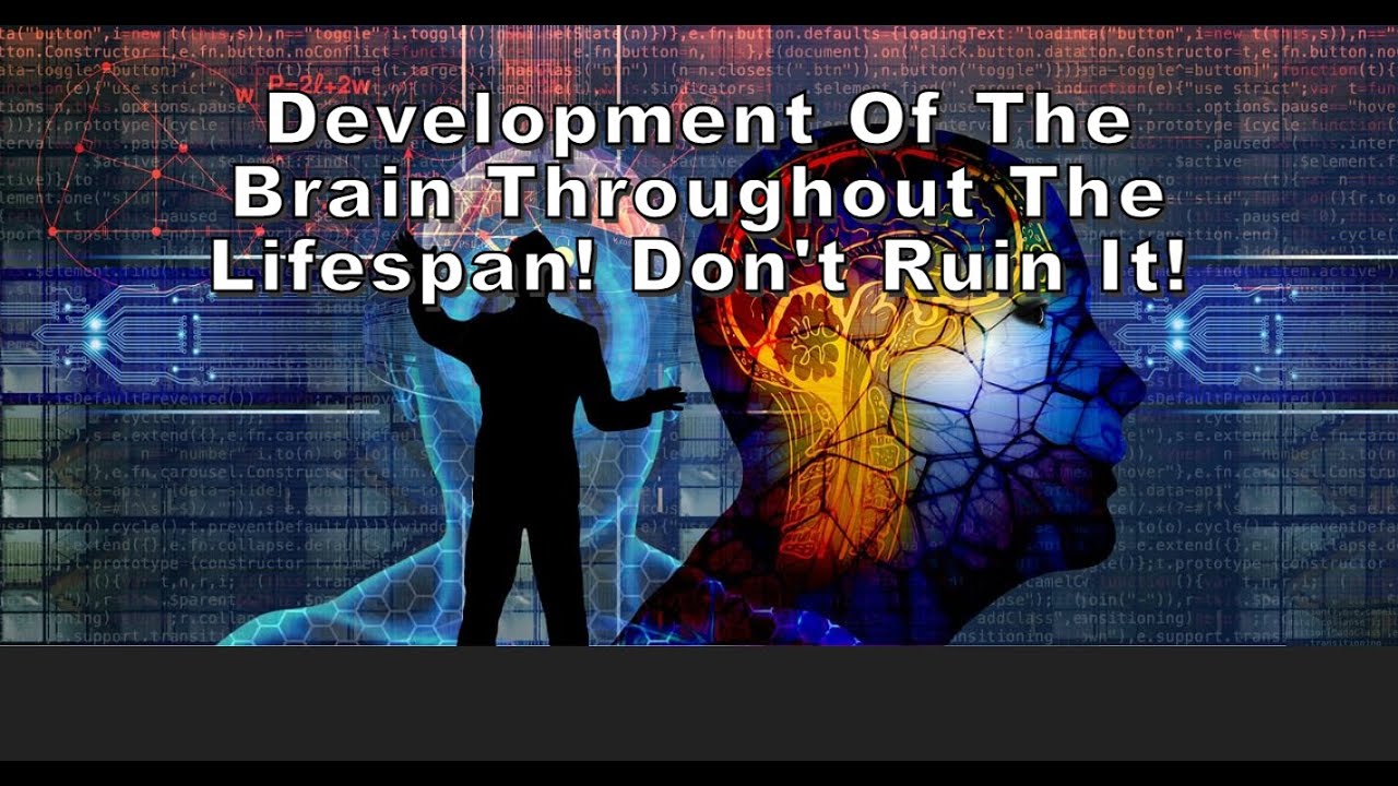 Human Brain Development Throughout the Lifespan - YouTube