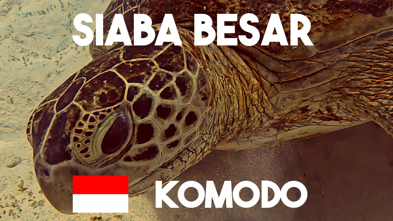 Siaba Besar, Komodo, Indonesia - YouTube