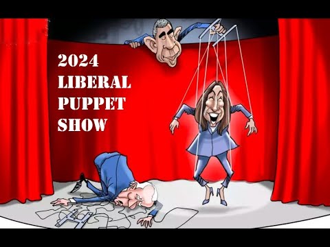 COMMON SENSE 101 FOR LIBERAL DUMMIES - YouTube