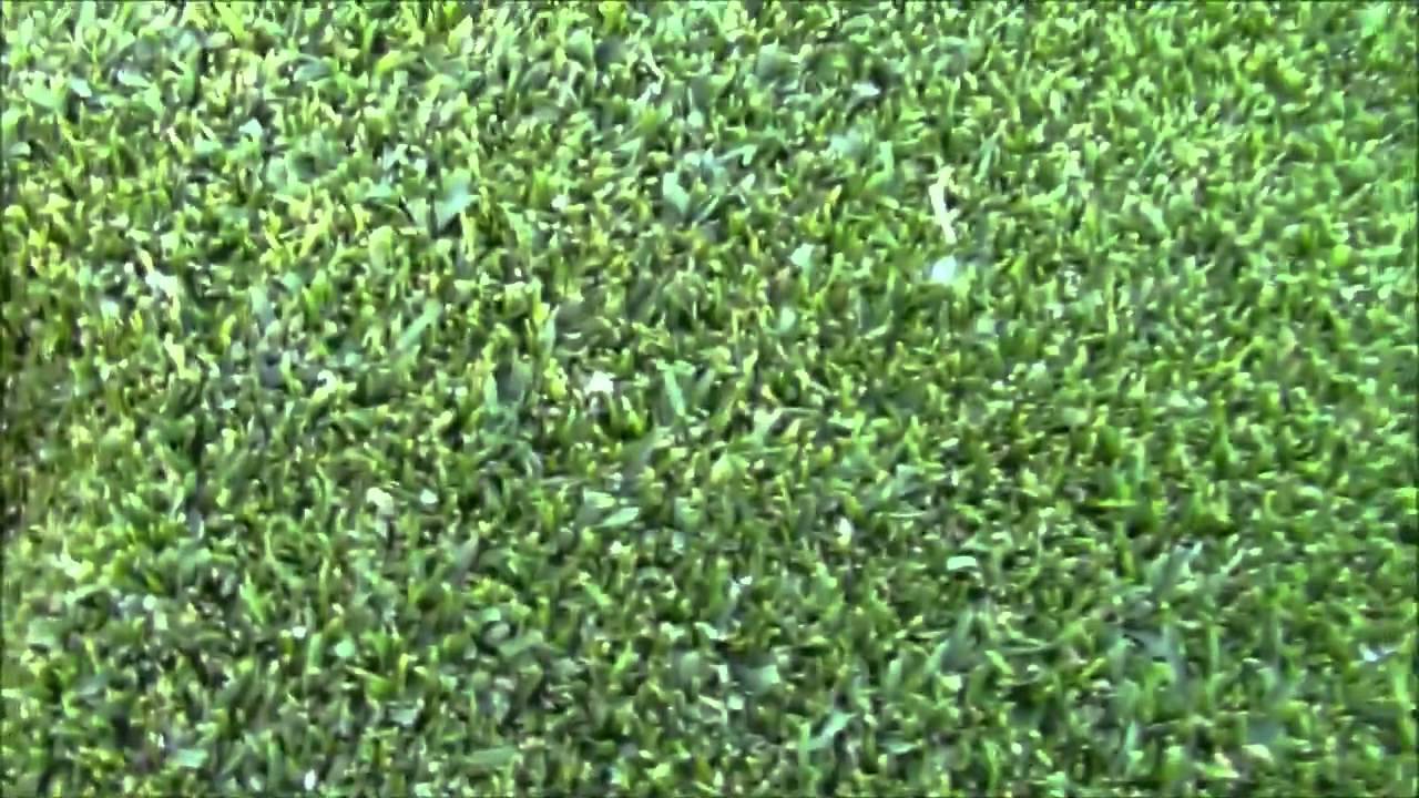 Challenge Who can make the biggest pitchmark - YouTube