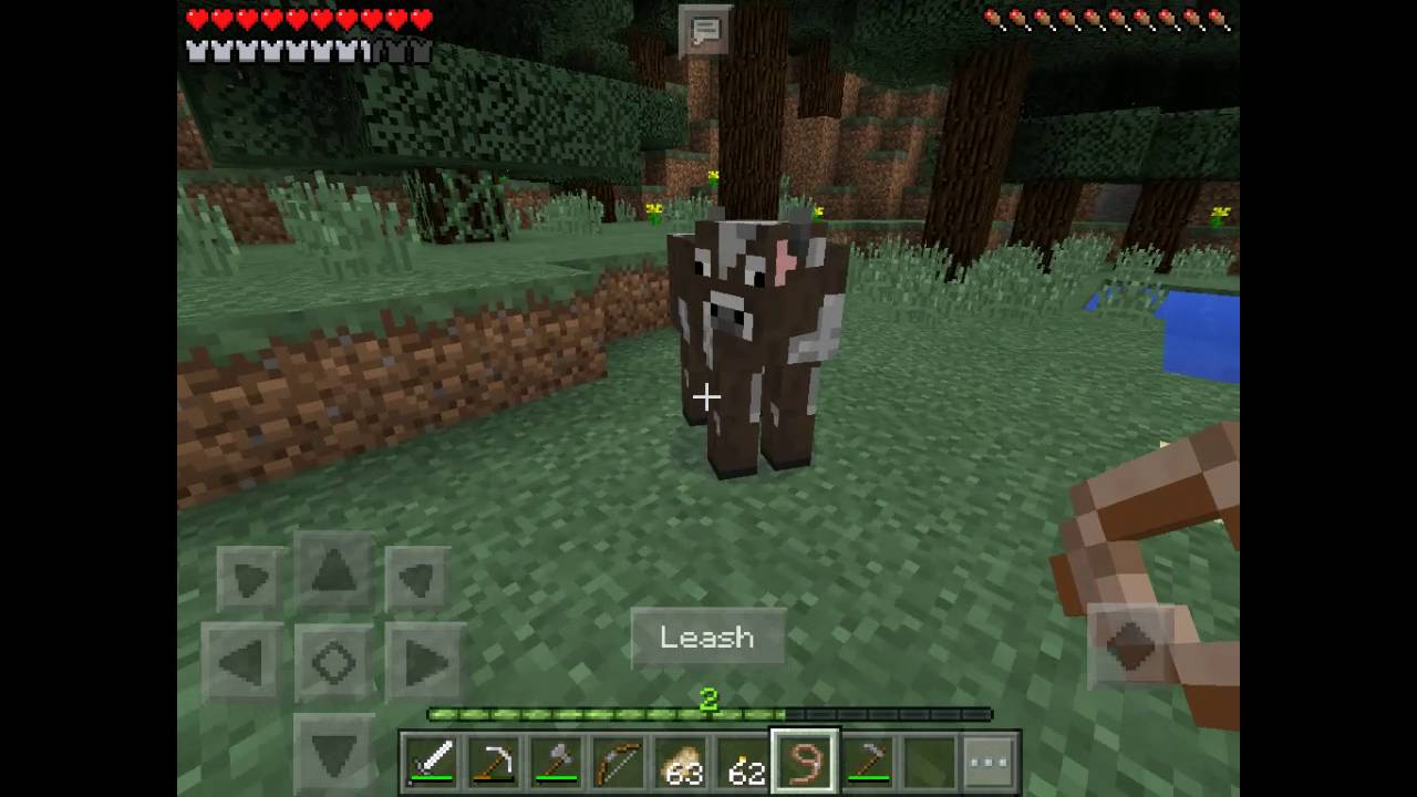 Staring with the xp /food farm - YouTube