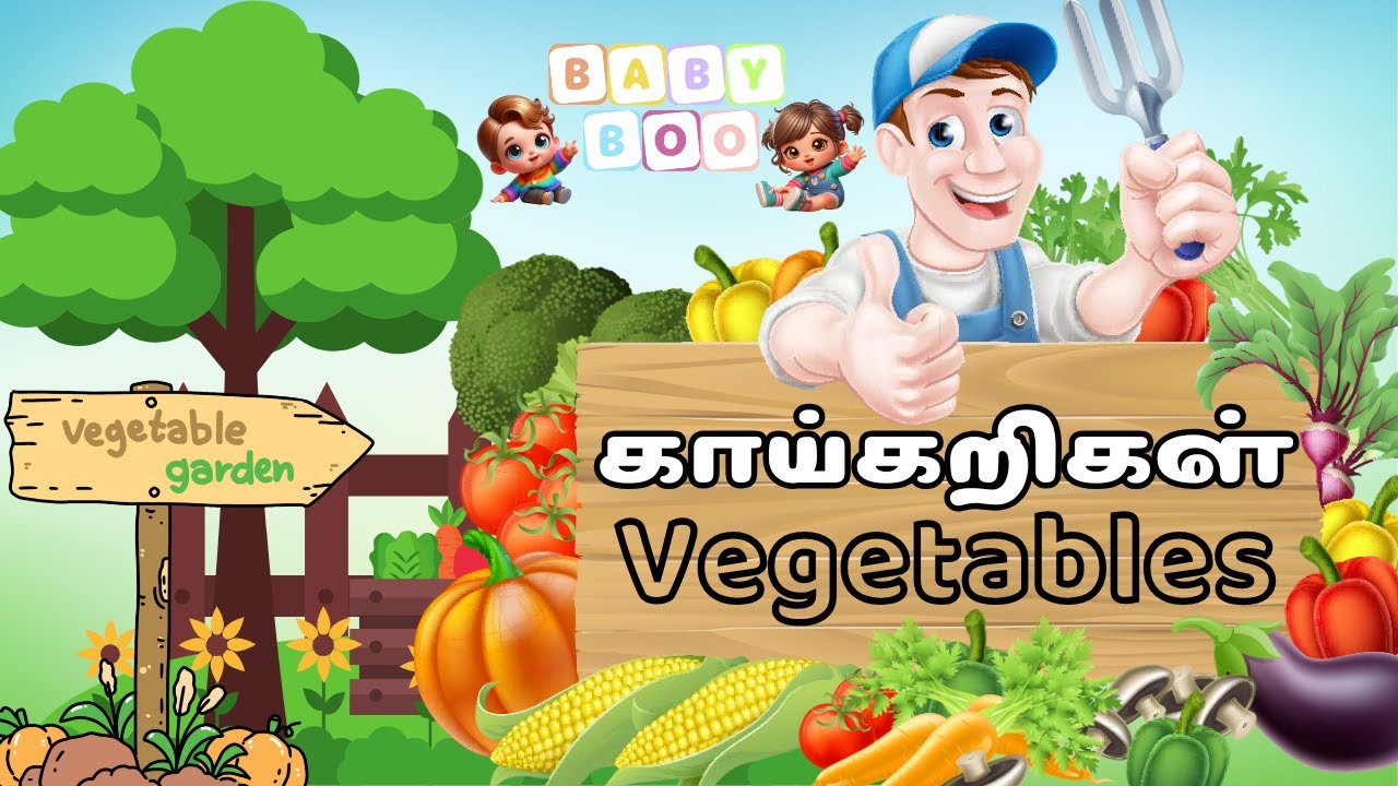 காய்கறிகள் | Vegetables | Learn Vegetables in Tamil & English ...