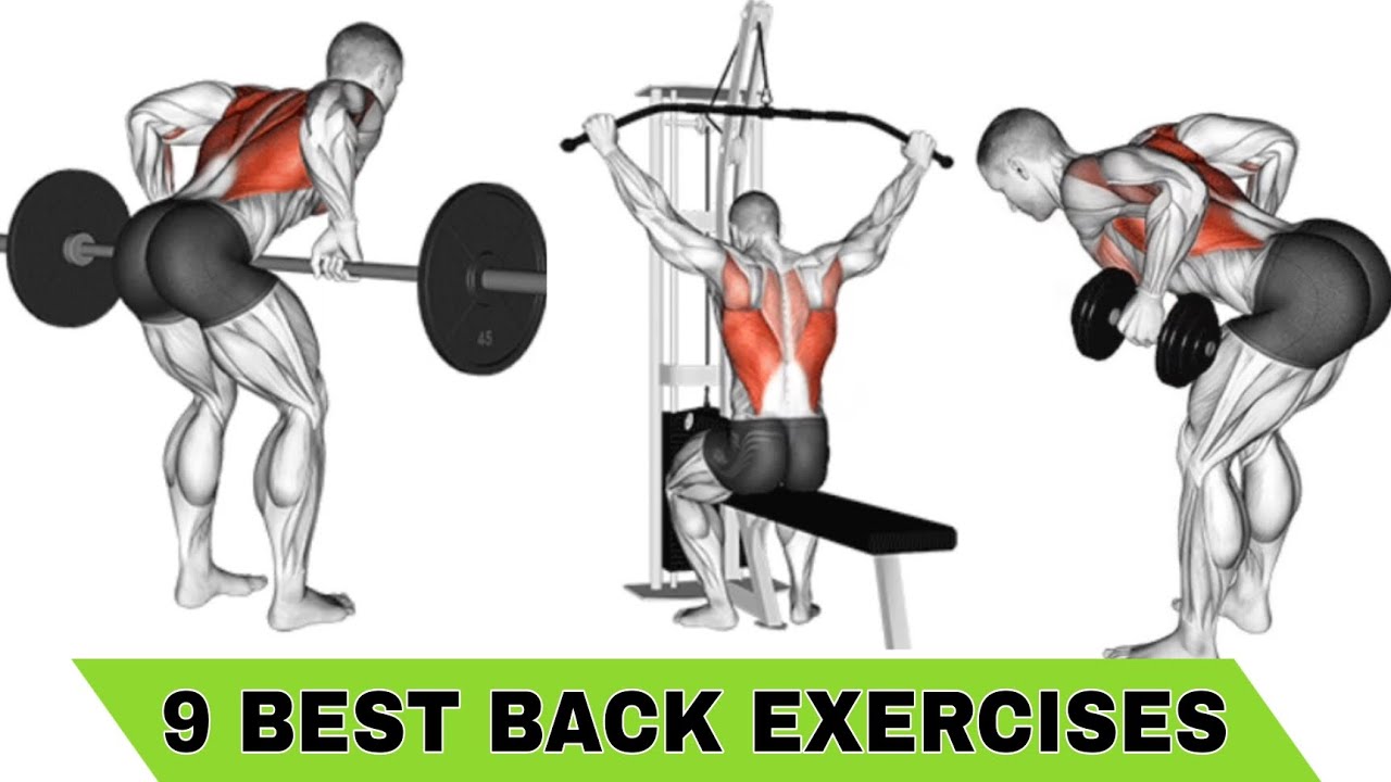 9 Best Back Exercises | Best Back Workout | GYM & HOME WORKOUT | - YouTube
