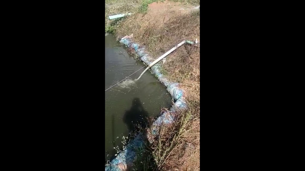 Fish Farming. 7.5 hp 3 phase water pump on solar power - YouTube