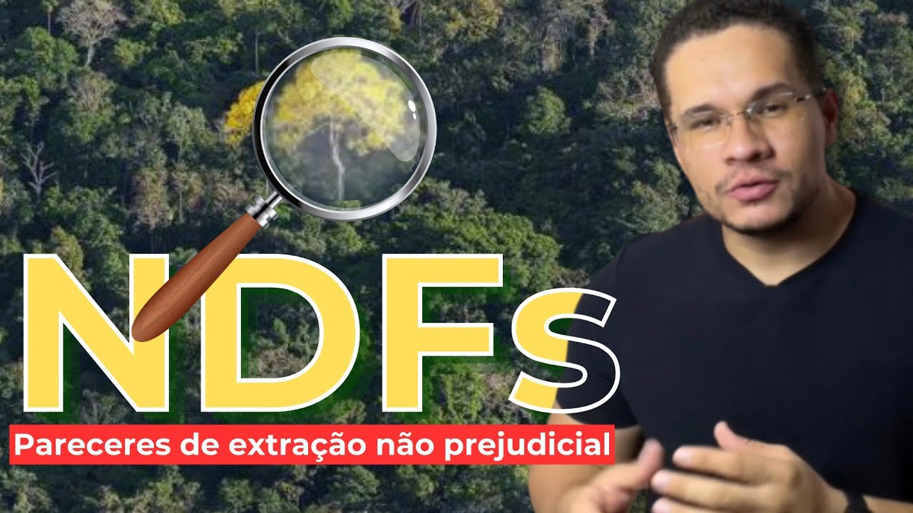 O que são os NDFs e porque a CITES exige? #Cites #NDF - YouTube