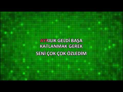 Barış Manço|arkadaşım eşek karaoke