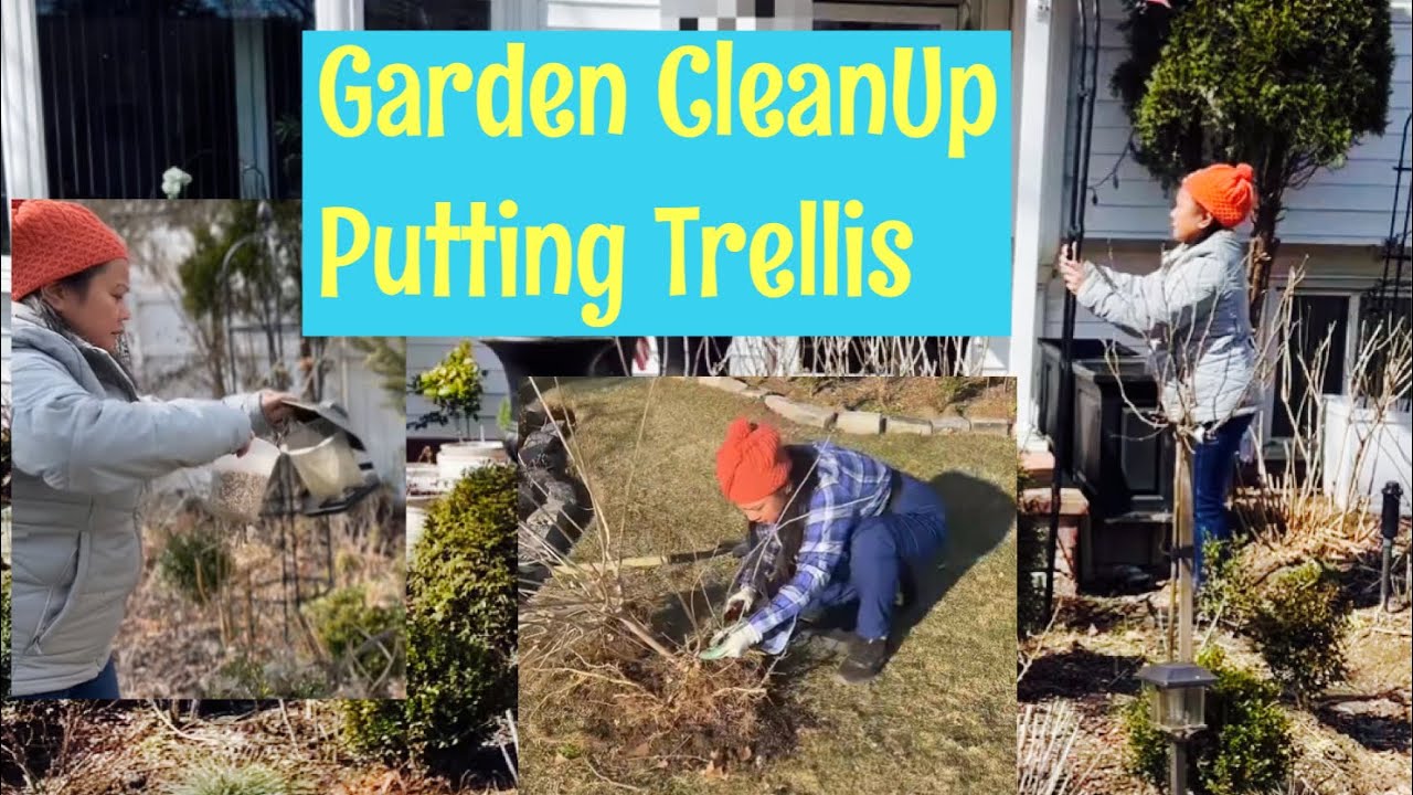 Front Porch Cleanup & Garden Refresh/ Trimming, Planting, Trellis Set up & Feeding the birds 🦅 ...