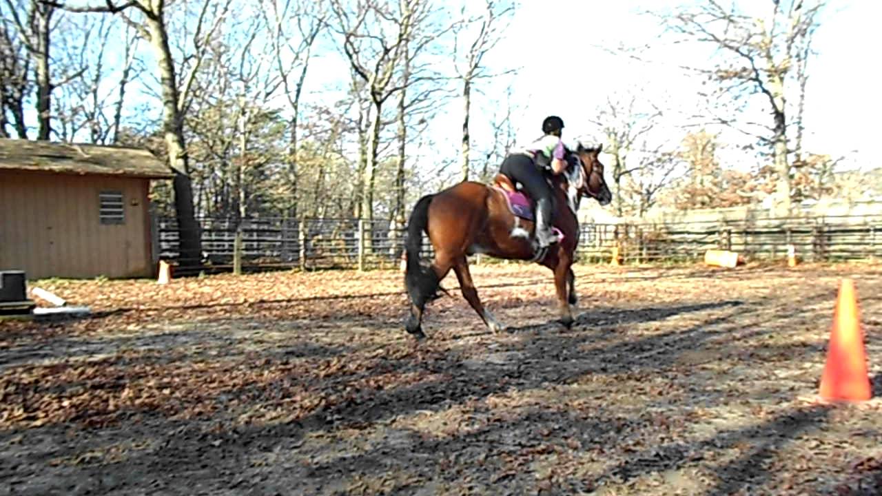 horseback riding lesson jennifer 011.AVI - YouTube