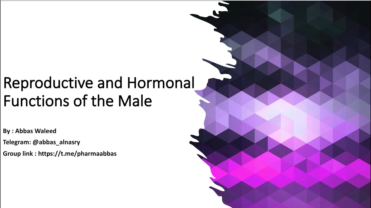 Physio | Mousl | Endo | L2-P1 | عباس وليد - YouTube