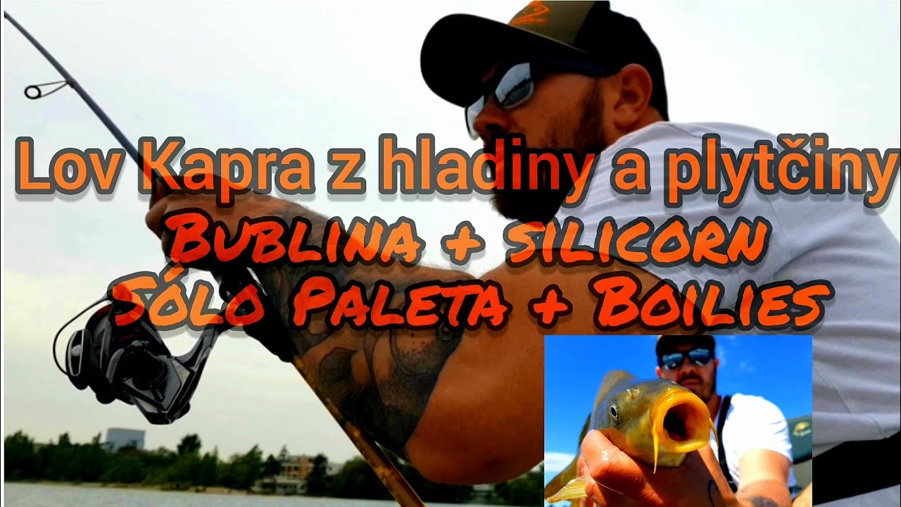 Lov Kapra z hladiny a plytčiny/Topwater Carp Fishing - YouTube