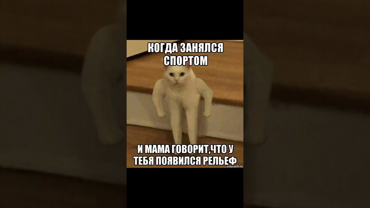 Мемы 18#лол #мемы - YouTube