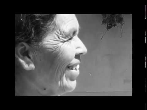 Pajaro Trailer - YouTube