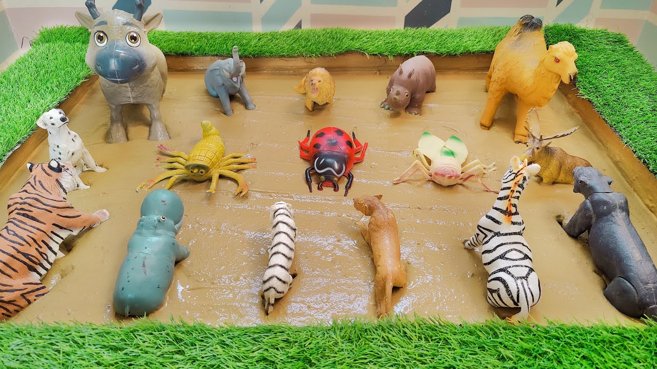 Meet 15 Desert and Safari Animals in the Mud | Ladybug, Camel, Scorpion ...