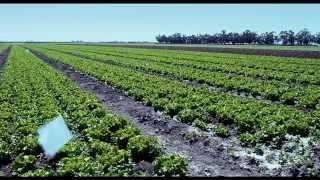 California Drought Documentary - A State of Emergency - YouTube
