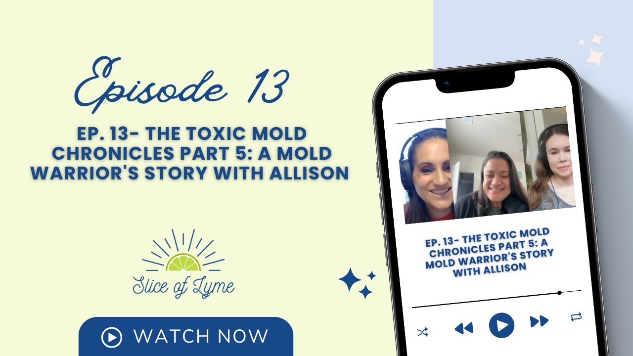 The Toxic Mold Chronicles part 5: A Mold Warrior's Story with Allison ...