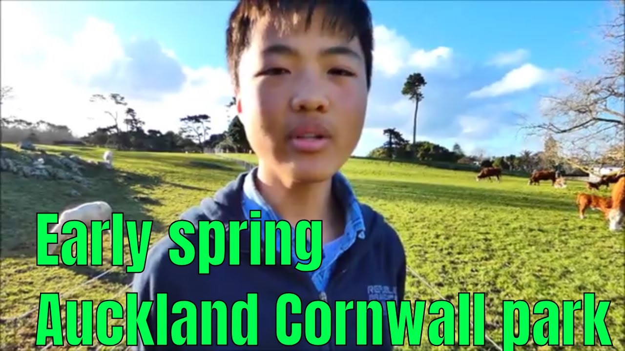 Early spring in Cornwall park, Auckland - YouTube