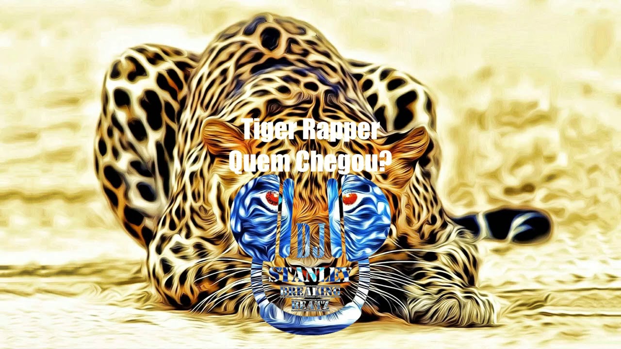 Tiger Rapper - Quem Chegou (Remix by DJ Stanley BreakingBeatz) - YouTube