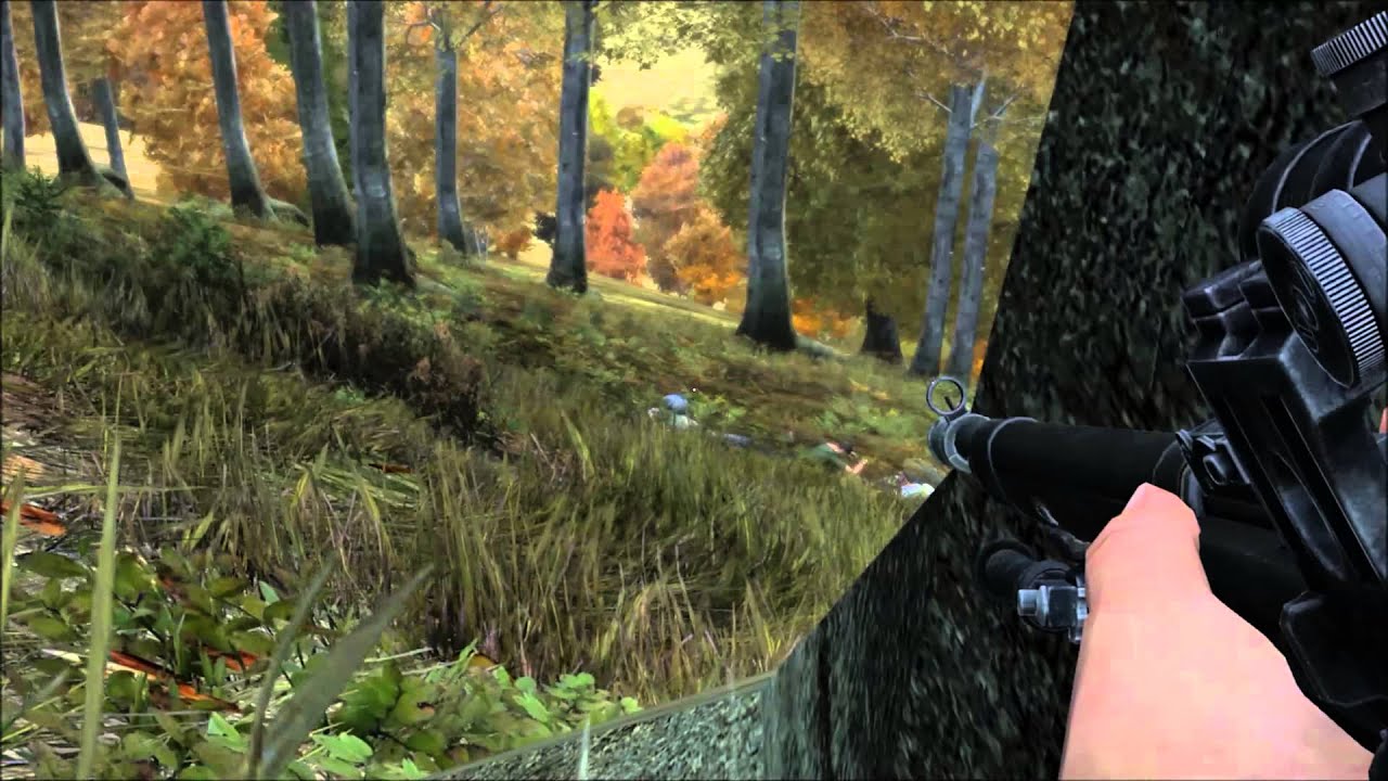 dayz standalone hardcore fight in the woodland by |SETH|jaqenhghar ...