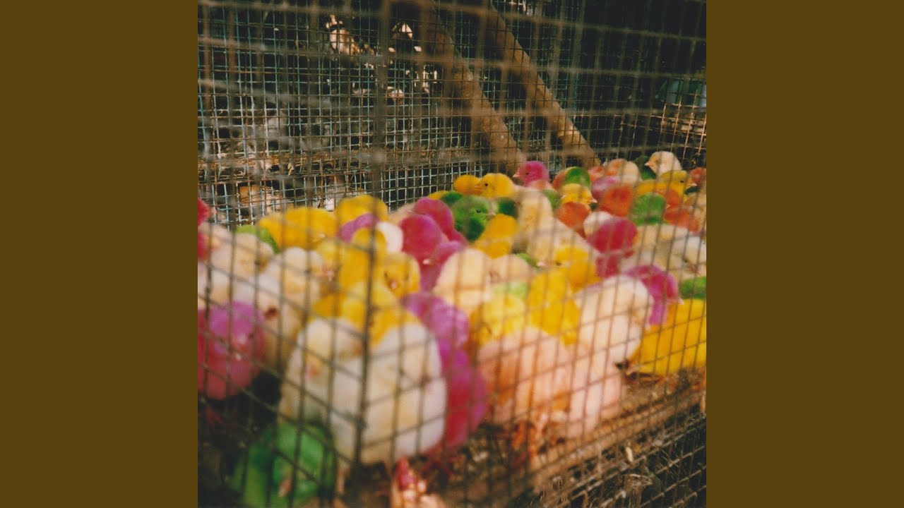 Pull It Over Me - YouTube