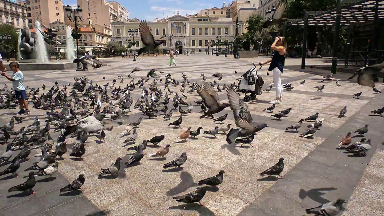 Sample shot with SLR Magic 8mm on the Lumix Gx80 - YouTube