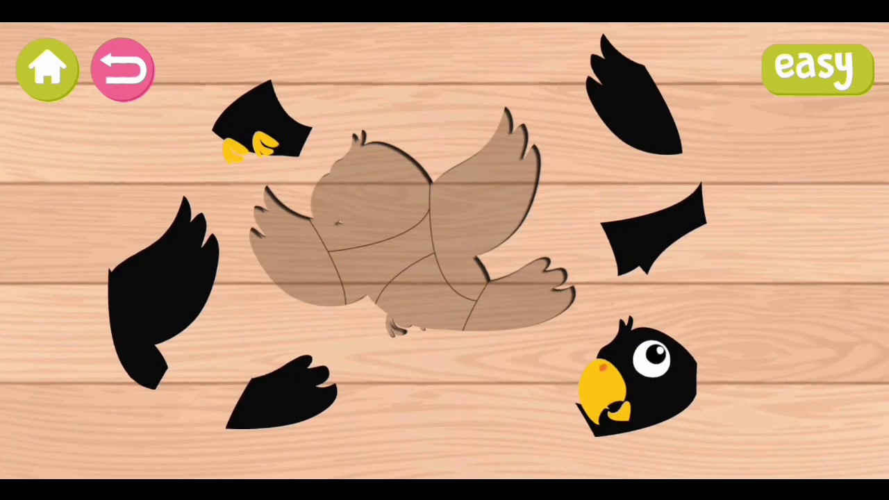 Educational Fun Learning Animal Birds for Kids | Animals Puzzle for ...