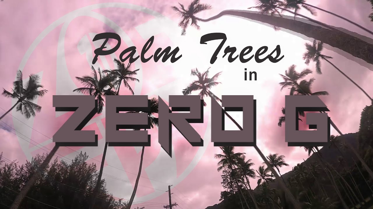 Palm Trees in Zero G - Drone Trippin' Hawaii - YouTube