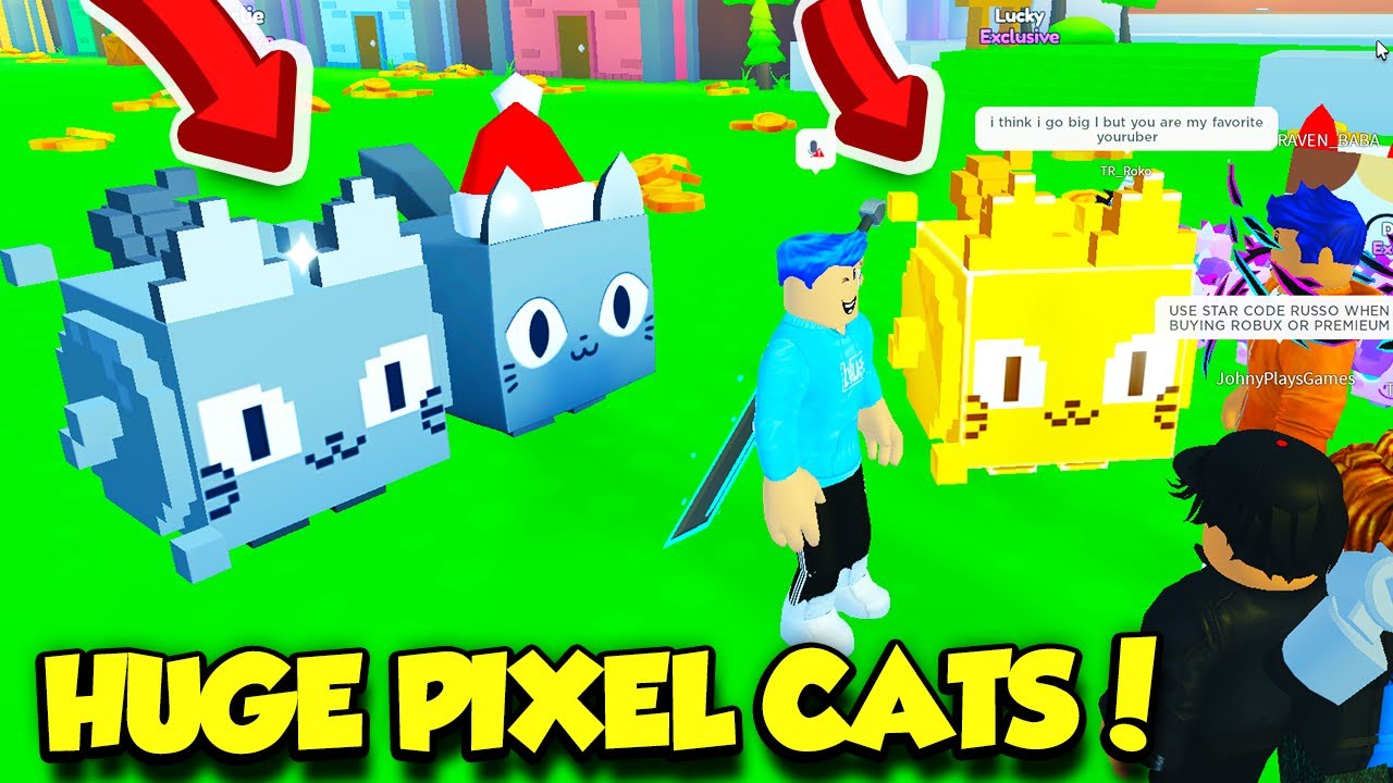 I Got The HUGE PIXEL CAT In Pet Simulator X! (Roblox) - YouTube