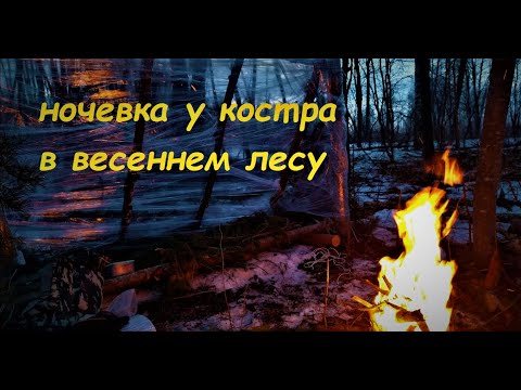 Одиночный поход с ночевкой. Весенний лес, -2, костер нодья, лесной лагерь