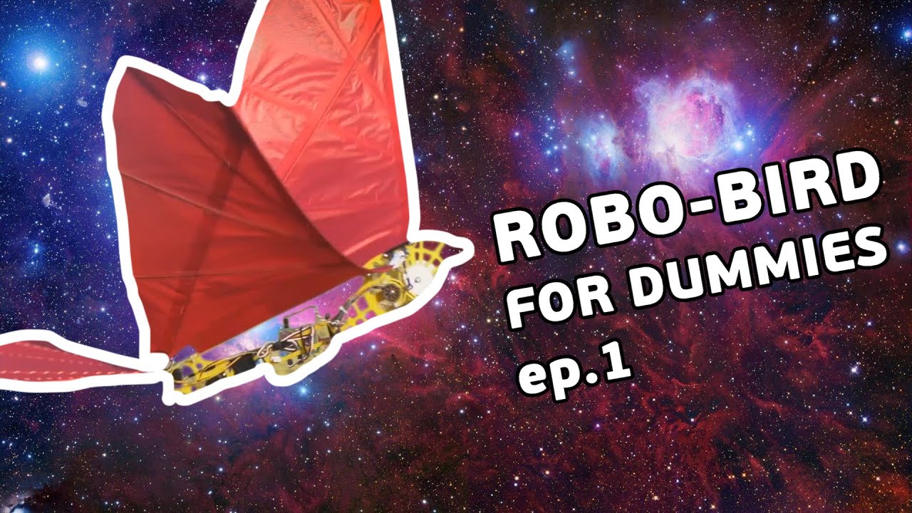 DIY Ornithopter: flapping mechanism and types review - YouTube