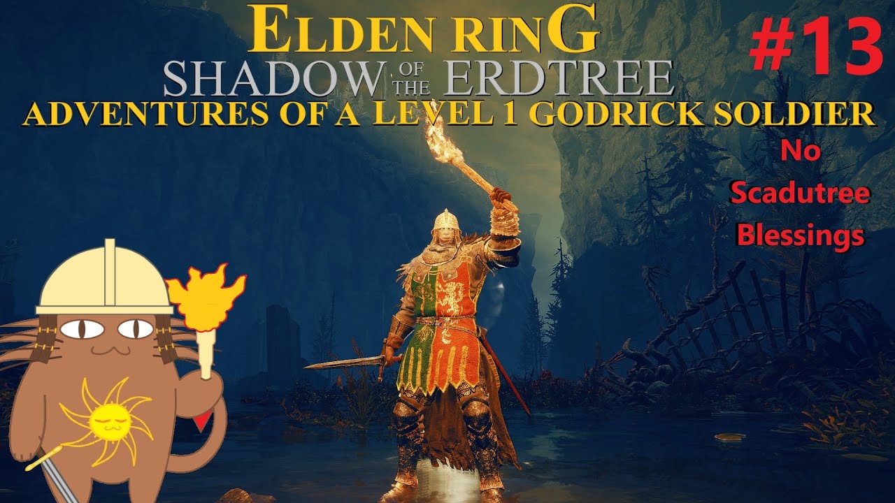 Rune Level 1 No Scadutree Blessing Godrick Soldier Cosplay! (PC)Elden ...