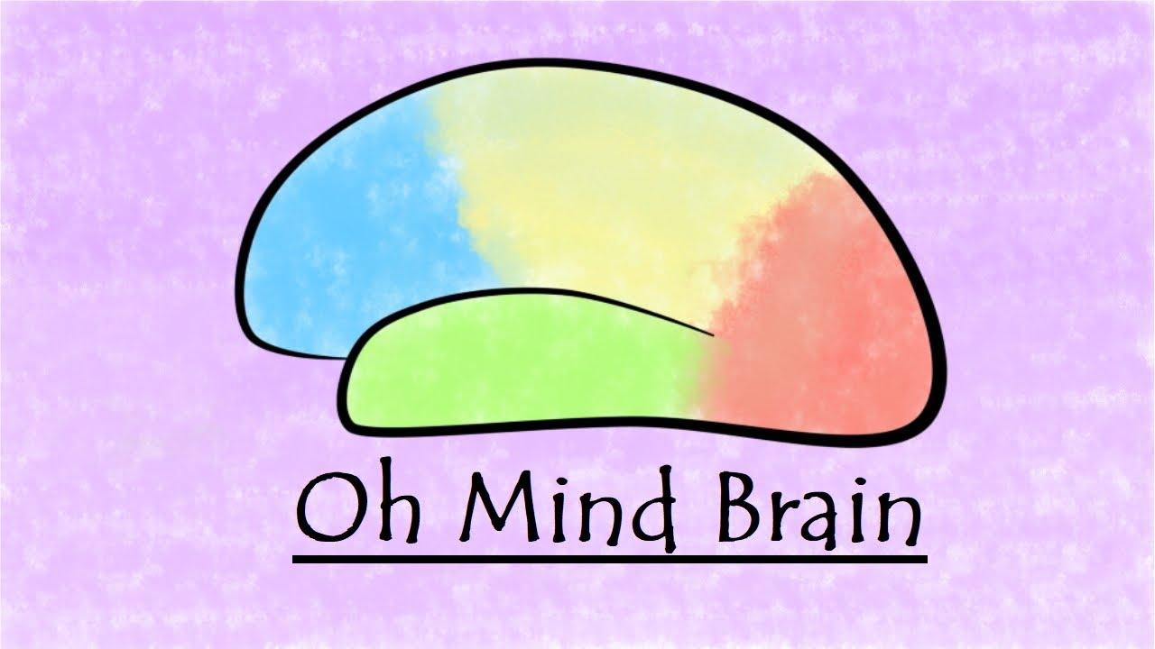 Introduction to the channel Oh Mind Brain - YouTube