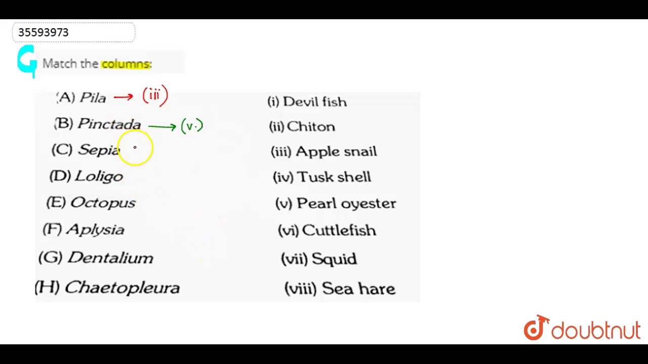 Match the columns: - YouTube