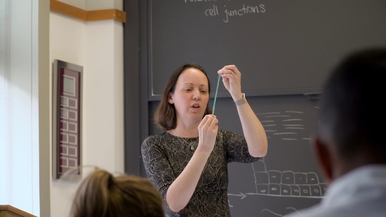 Princeton Profiles: Celeste Nelson, inspired by her students and the ...