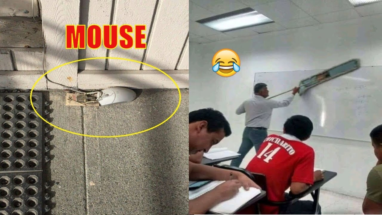 Pictures That Reveal How Crazy Our World Can Be - YouTube