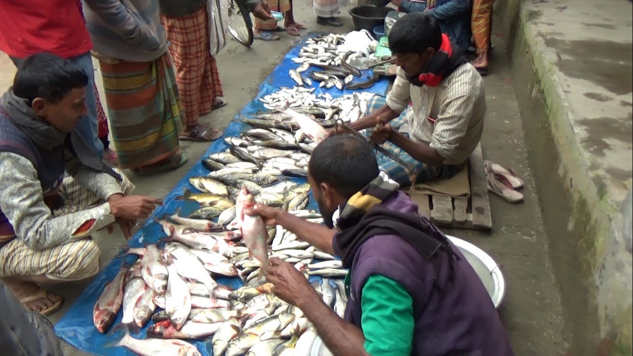 Village Fish Market | Lots of fresh fish | Rural Village Market - YouTube