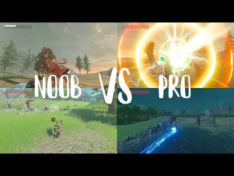 Breath Of The Wild: Noob Vs Pro